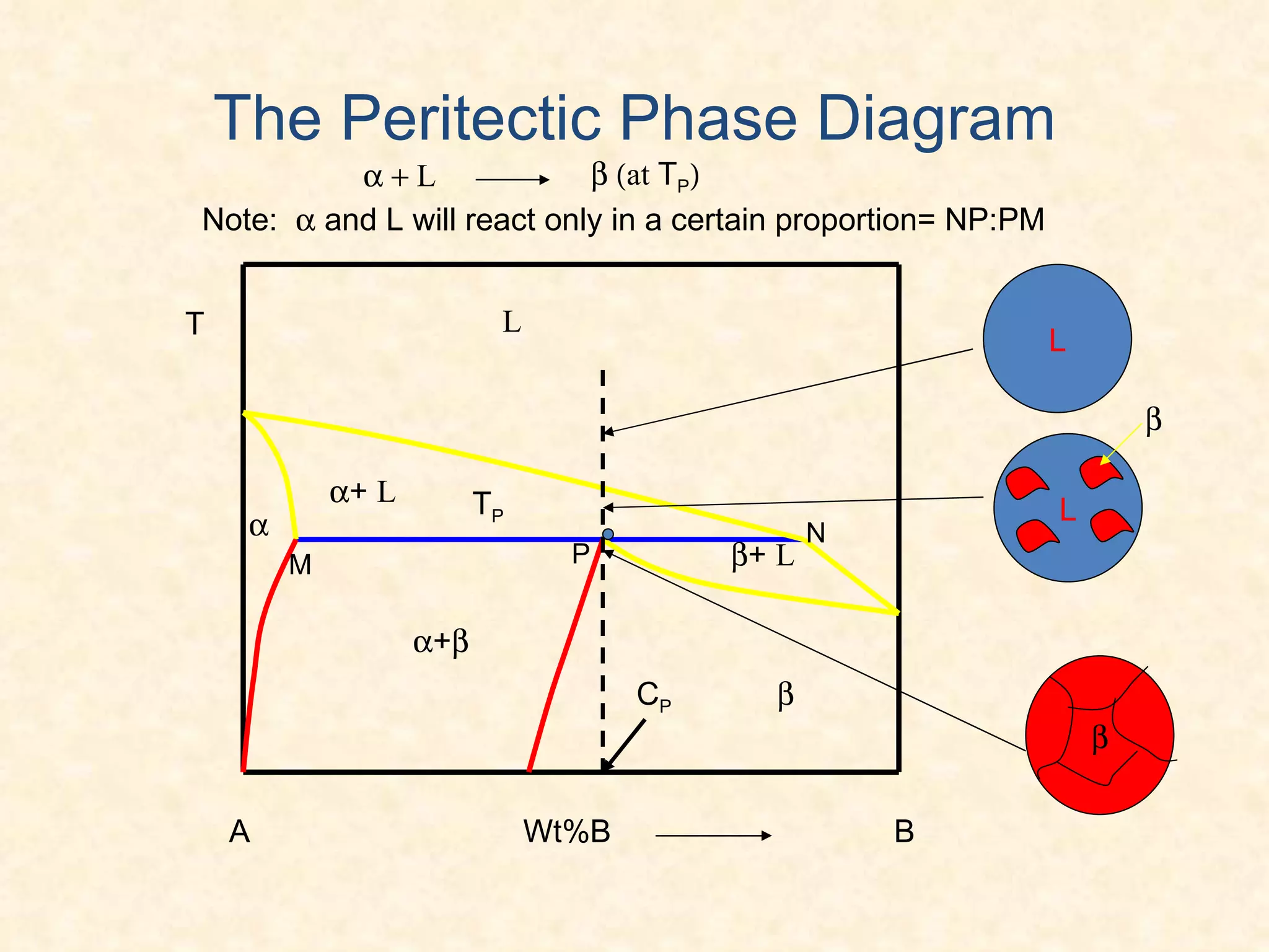 Phase diagram (Muda Ibrahim) | PPT