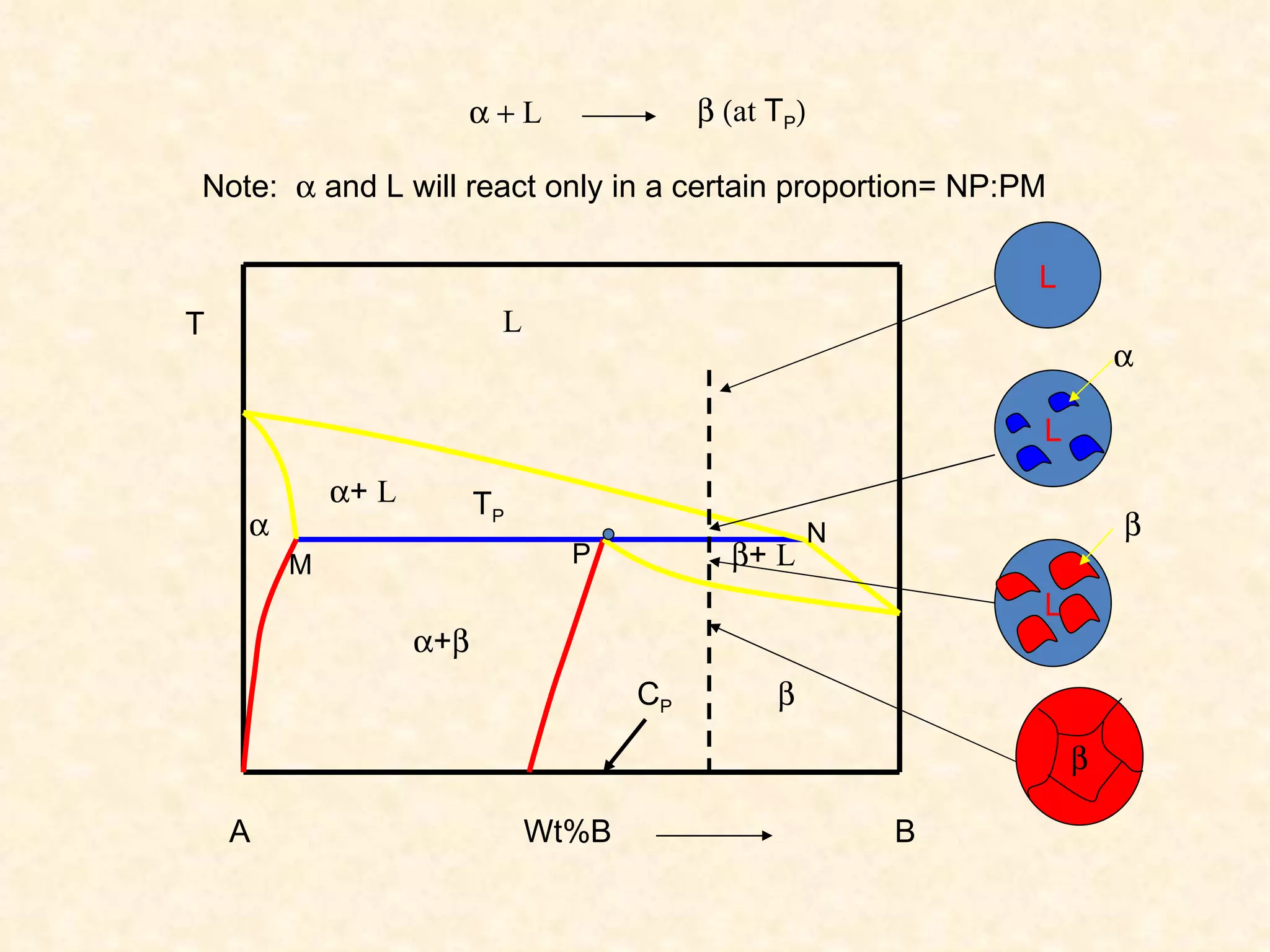 Phase diagram (Muda Ibrahim) | PPT
