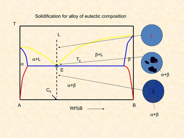 Phase diagram (Muda Ibrahim) | PPT
