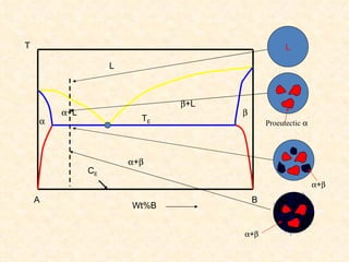 Phase diagram (Muda Ibrahim) | PPT