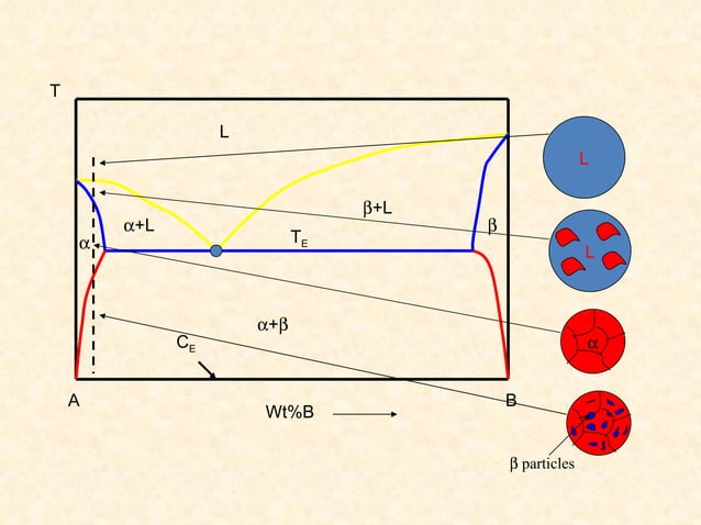 Phase diagram (Muda Ibrahim) | PPT