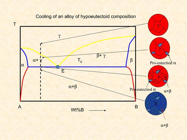 Phase diagram (Muda Ibrahim) | PPT