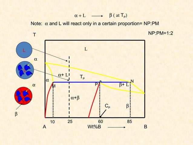 Phase diagram (Muda Ibrahim) | PPT