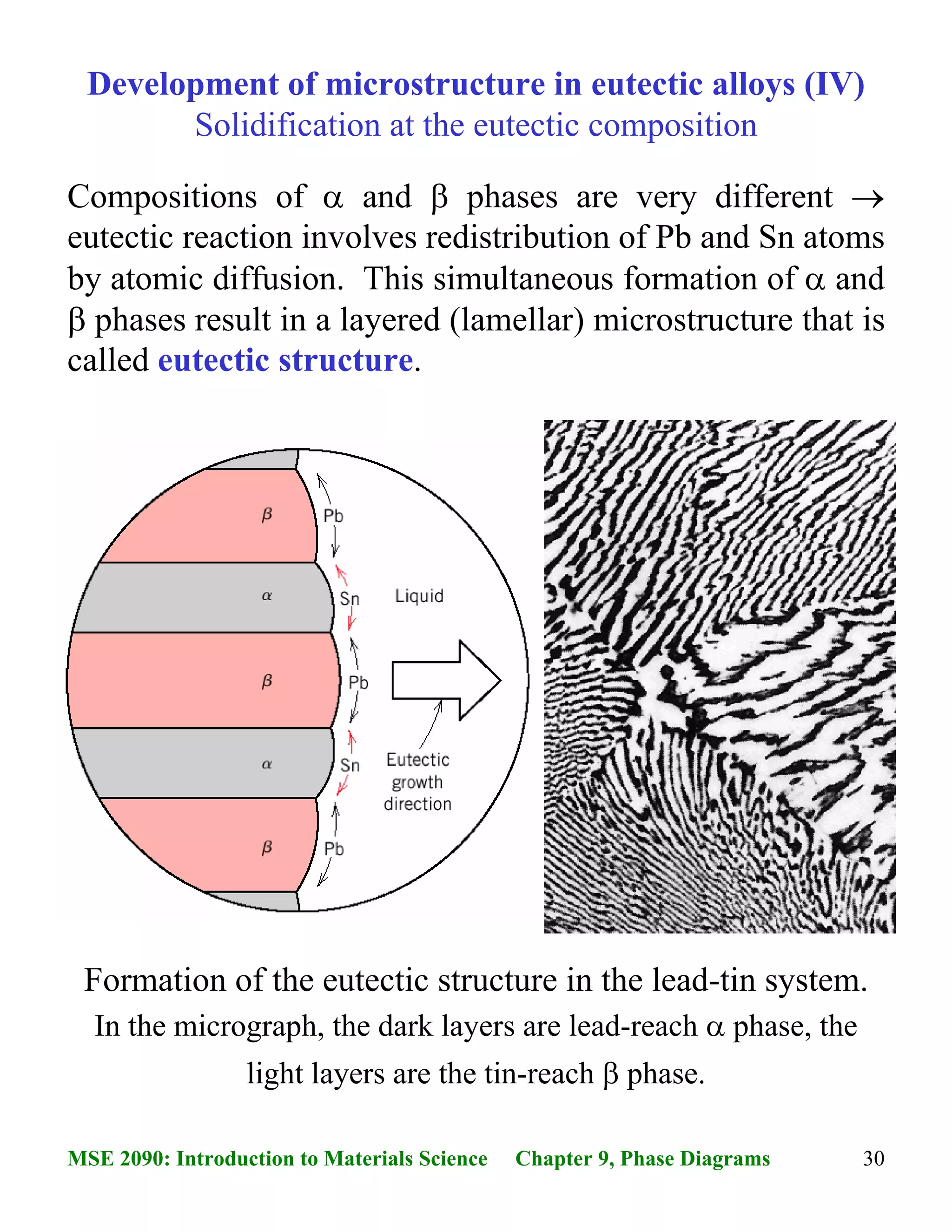 Phase diagrams and phase transformations | PDF