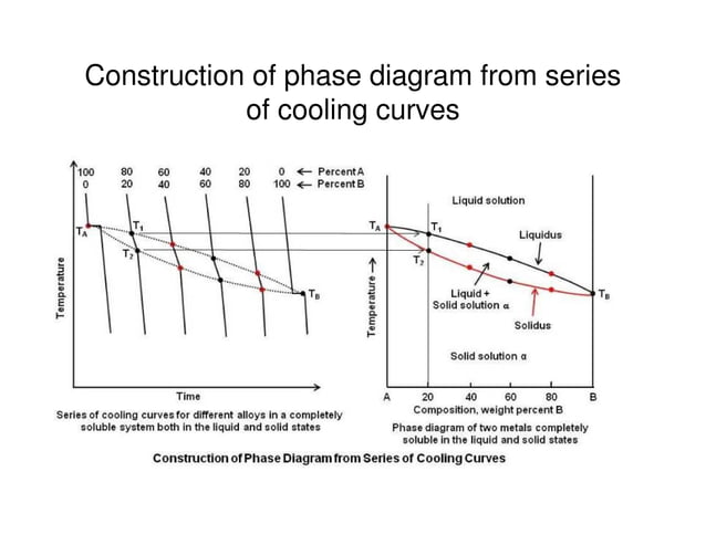 Phase diagram type 1 (1) (1).pdf