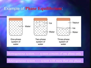 Phase equilibrium.siam (pdf file) | PPT