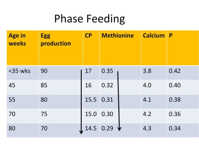 Phase Feeding In Layers Pptx