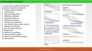 Phase, polarity, amplitude and seismic facies.pptx