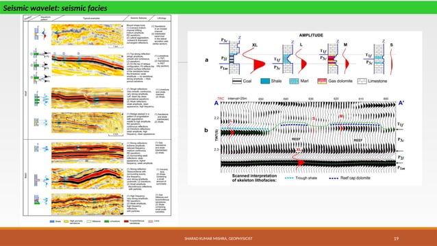 Phase, polarity, amplitude and seismic facies.pptx