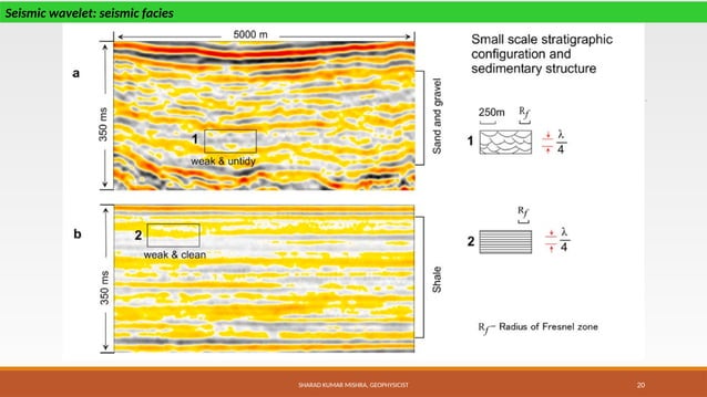 Phase, polarity, amplitude and seismic facies.pptx