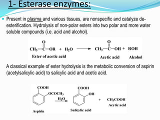 Phase ii biotransform of drugs | PPTX