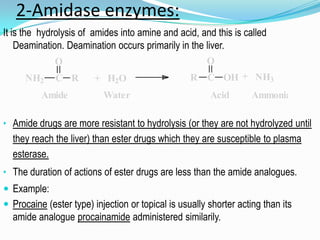 Phase ii biotransform of drugs | PPTX