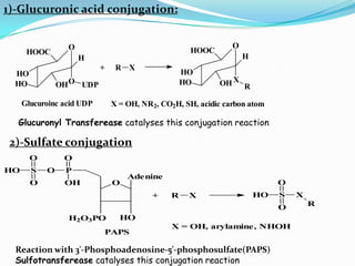 Phase ii biotransform of drugs | PPTX