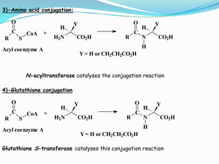 Phase ii biotransform of drugs | PPTX