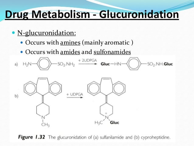 Phase ii biotransform of drugs