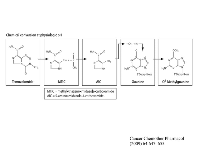 Phase ii study of temozolomide and thalidomide | PPT