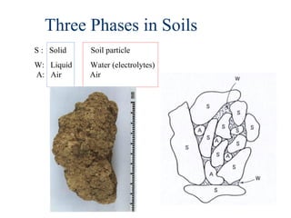 Phase relations | PPT | Chemistry | Science