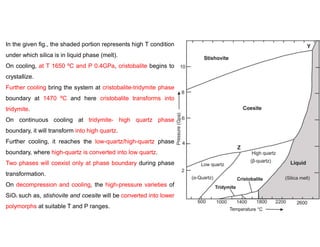 Phase rule_Diagram.pdfsfsfsfsgfsgsgfsgfs | PDF