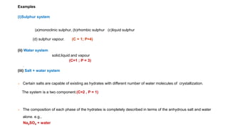 Phase Rule for BTech class.pptx