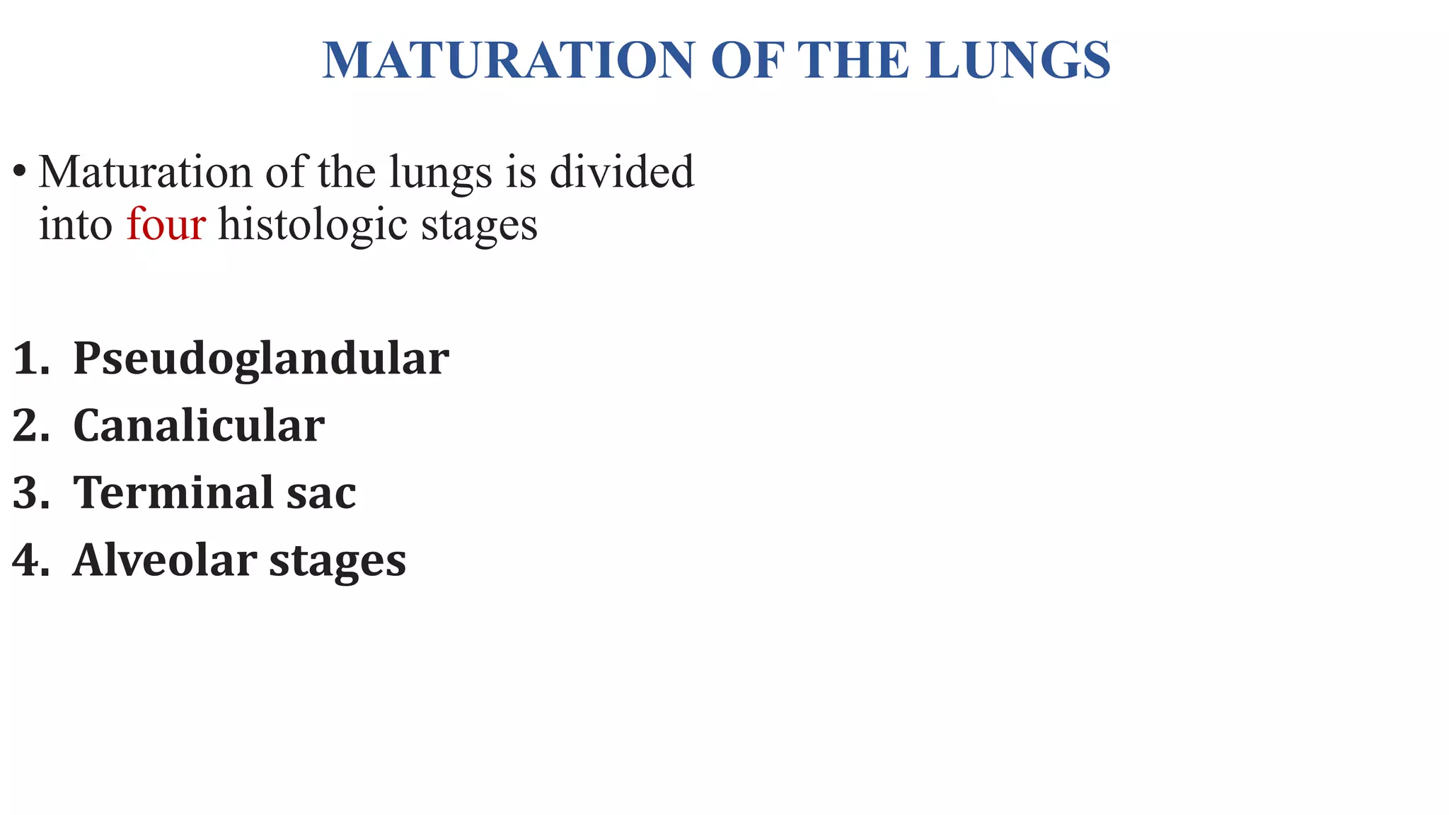 Phases of Lung Maturation | PPT