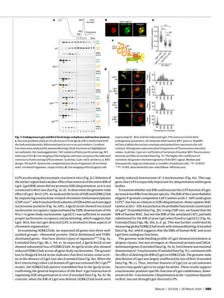 Phase separation directs ubiquitination of gene-body nucleosomes.pdf