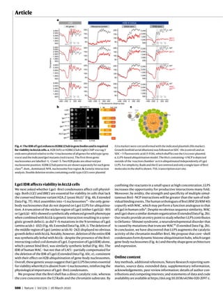 Phase separation directs ubiquitination of gene-body nucleosomes.pdf