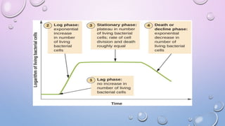 Phases Of Cell Growth powerpoint presentation | PPT
