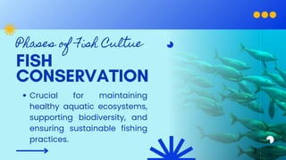 Phases of Fish Culture and Classification of its Habitat.pdf