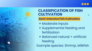 Phases of Fish Culture and Classification of its Habitat.pdf