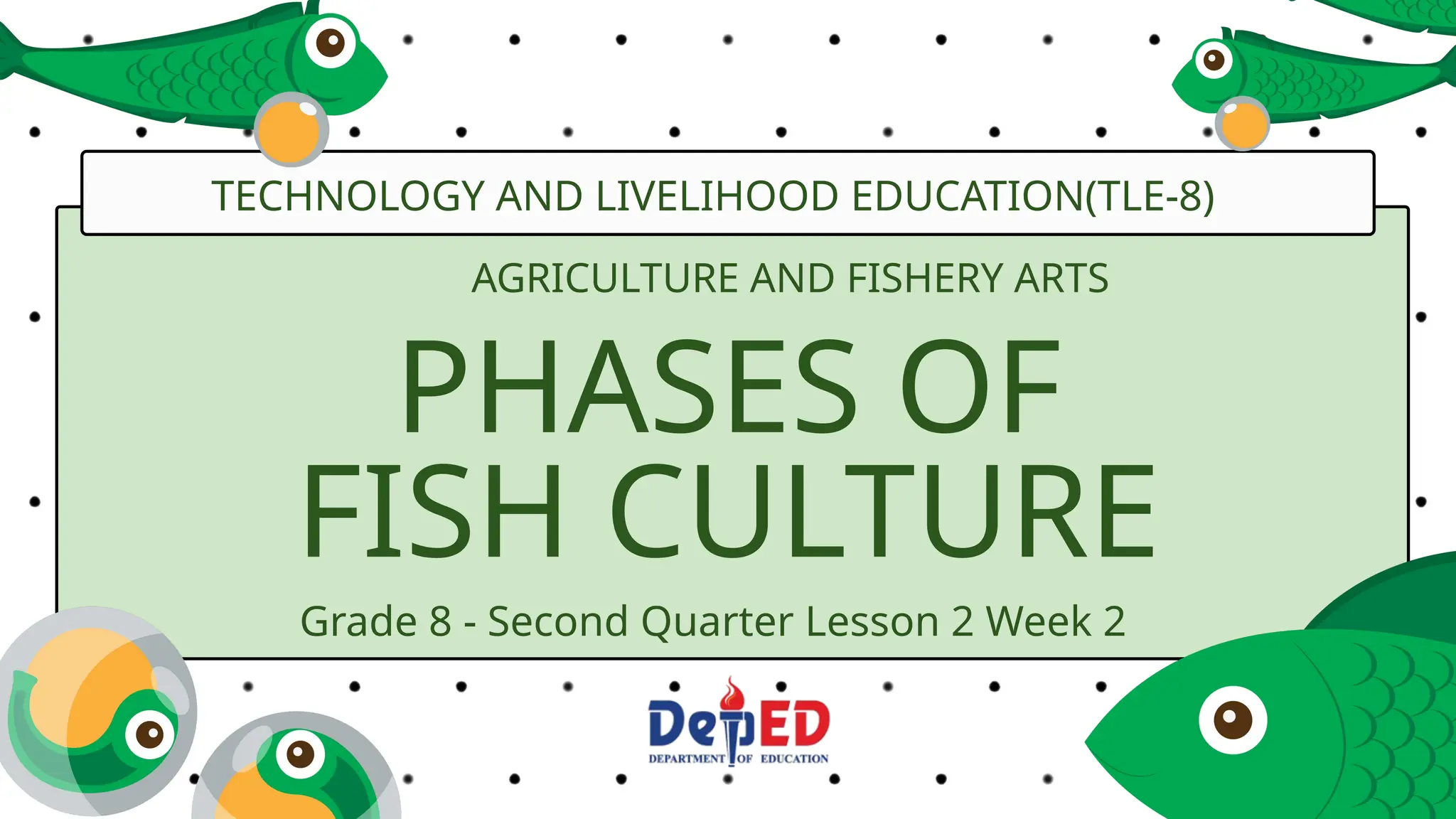 PHASES OF FISH CULTURE TLE 8 QUARTER 2.pptx