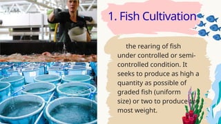 PHASES OF FISH CULTURE TLE 8 QUARTER 2.pptx
