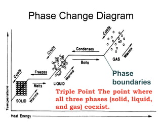 Phases of matter diagram 2025grade7.pptx