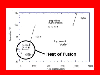 Phases of matter & phase changes | PPTX