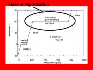 Phases of matter & phase changes | PPTX