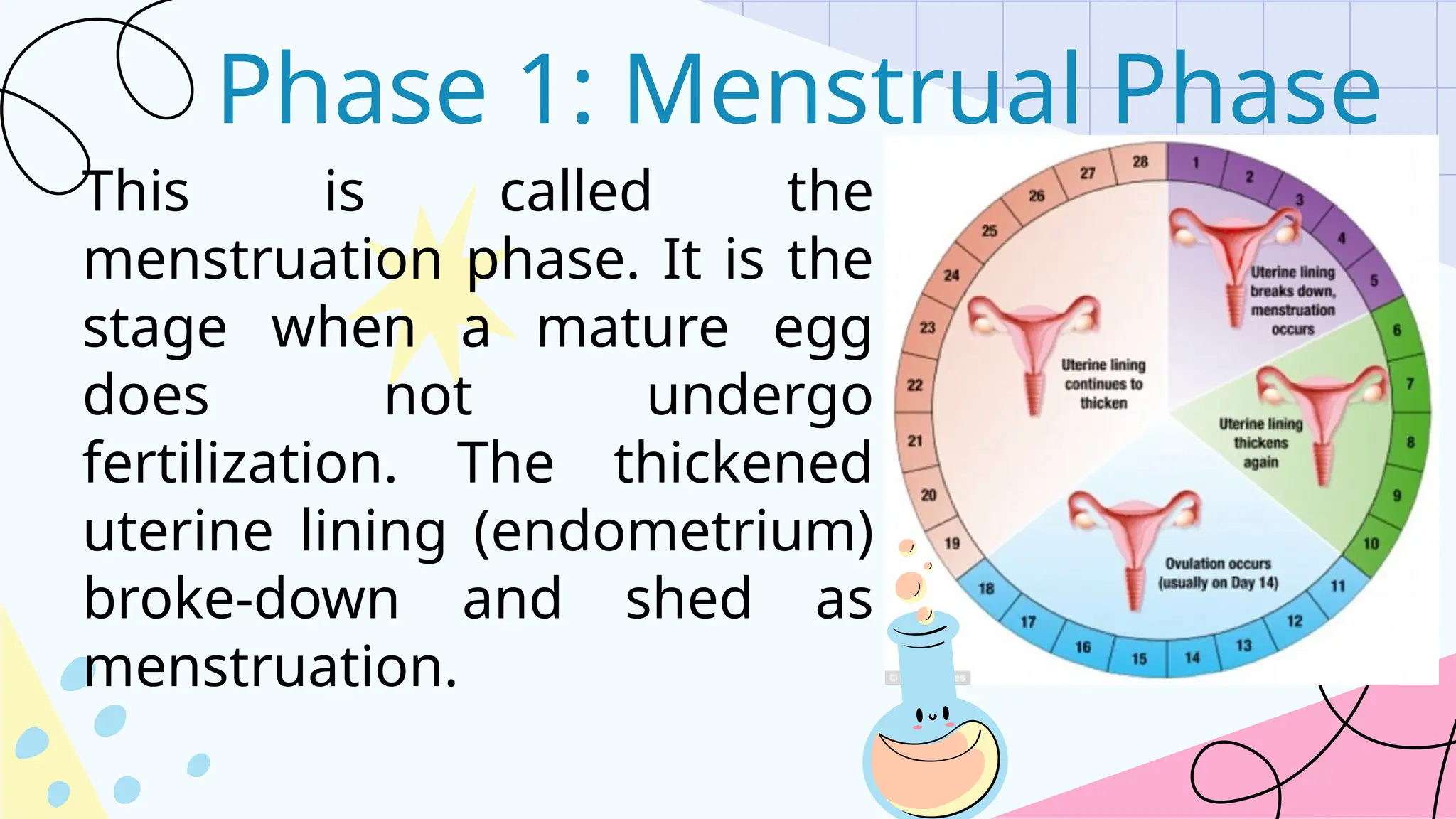 A presentation for Science Subject - Phases of Menstrual Cycle.pptx