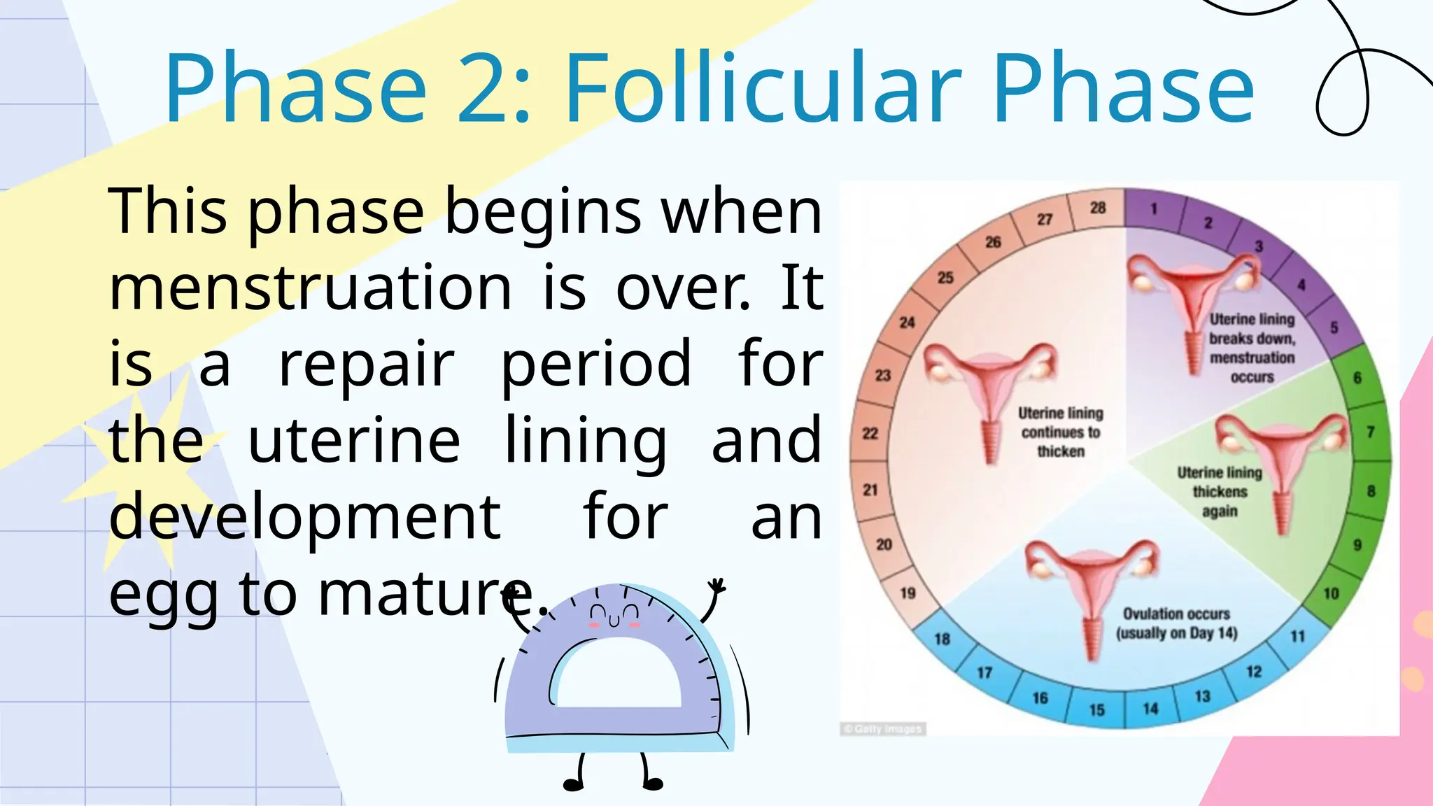 A presentation for Science Subject - Phases of Menstrual Cycle.pptx