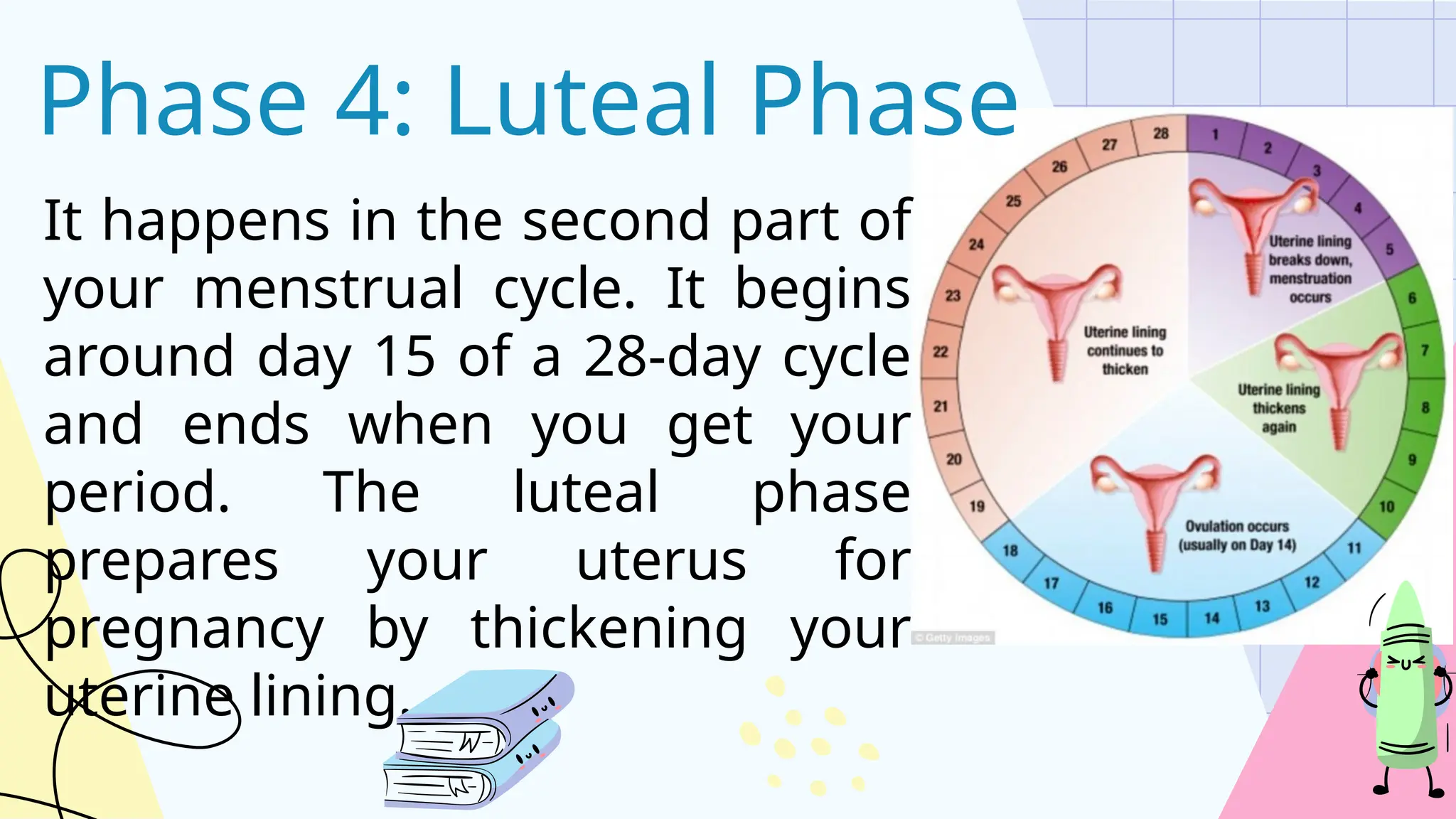 A presentation for Science Subject - Phases of Menstrual Cycle.pptx