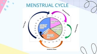 A presentation for Science Subject - Phases of Menstrual Cycle.pptx