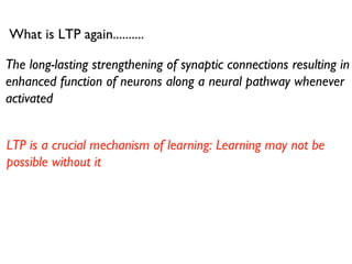 Phases of neural dvelopment | PPT