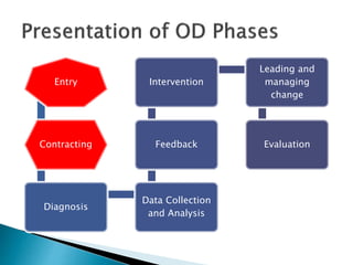 Phases of Organizational Development | PPTX