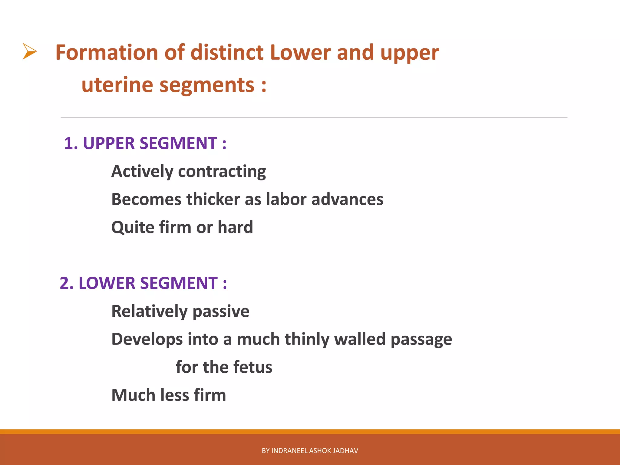 Phases of parturition | PPTX
