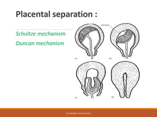 Phases of parturition | PPTX