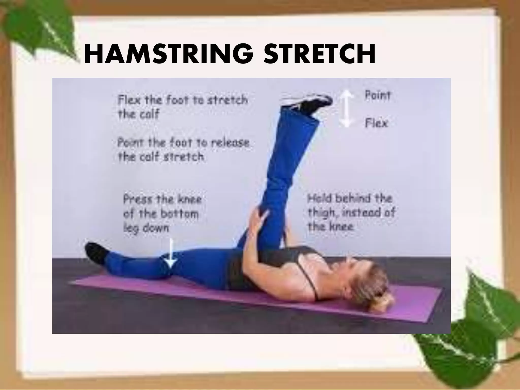 Phases of Physical Fitness | PPTX