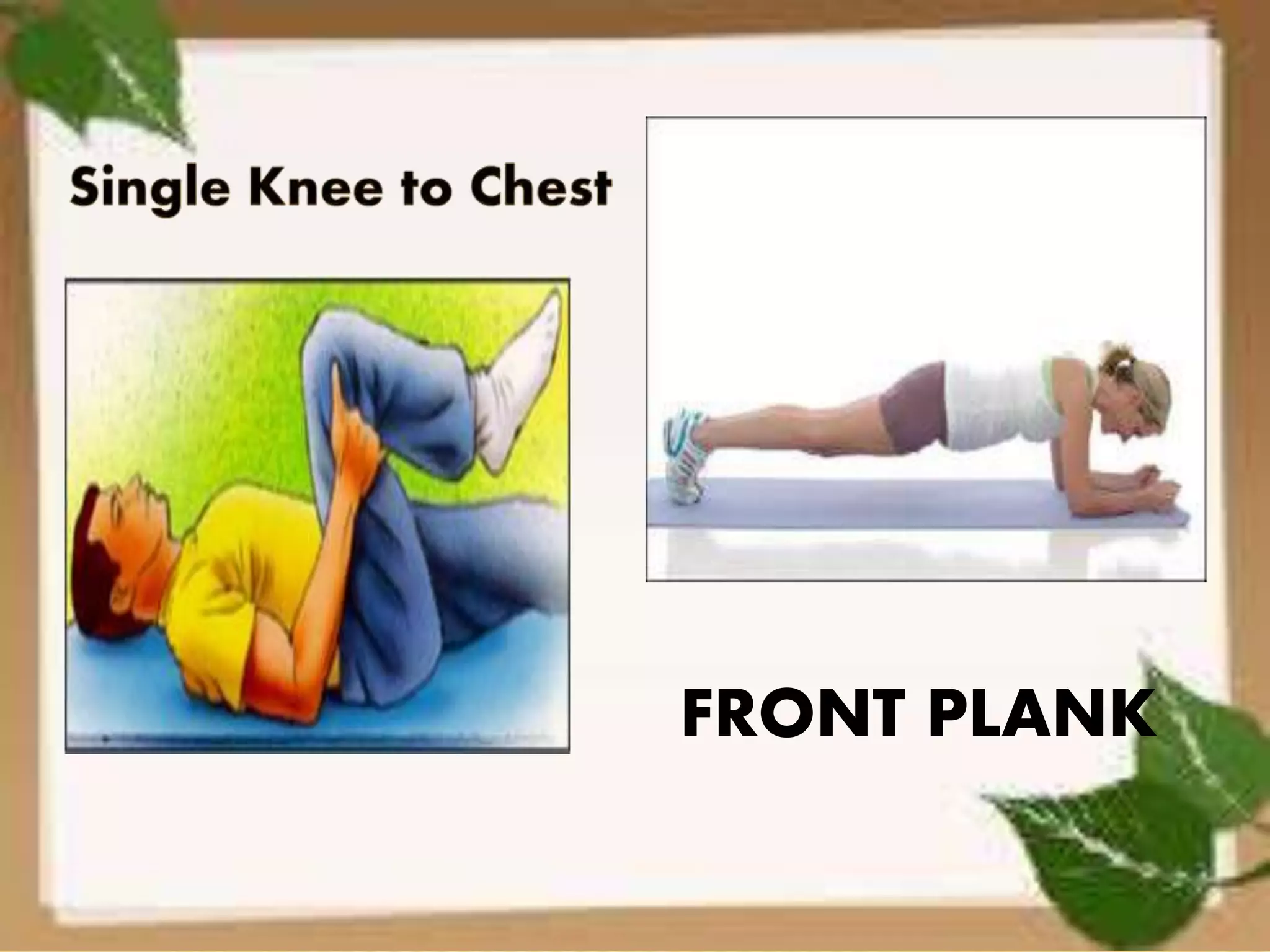 Phases of Physical Fitness | PPTX