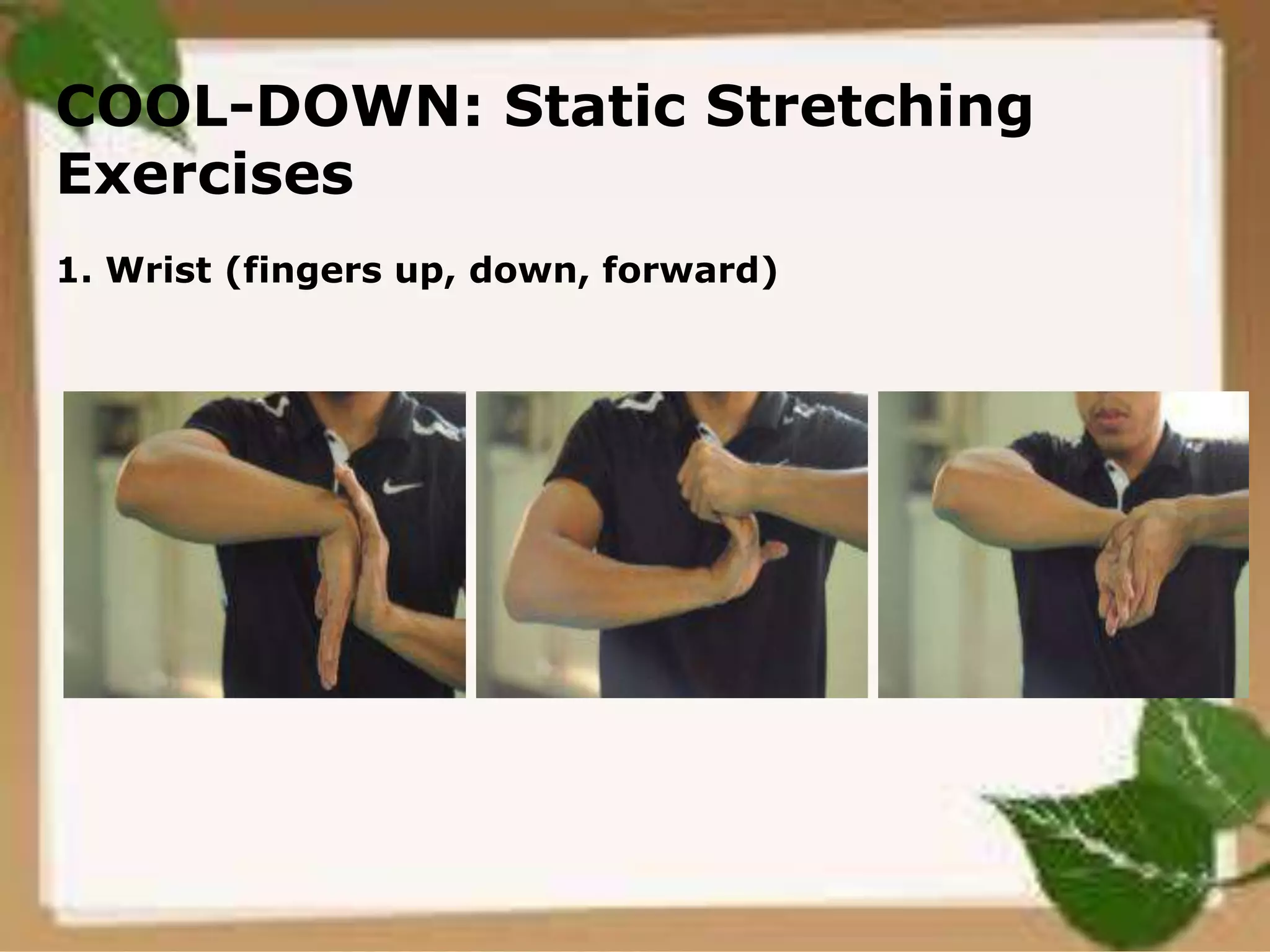 Phases of Physical Fitness | PPTX