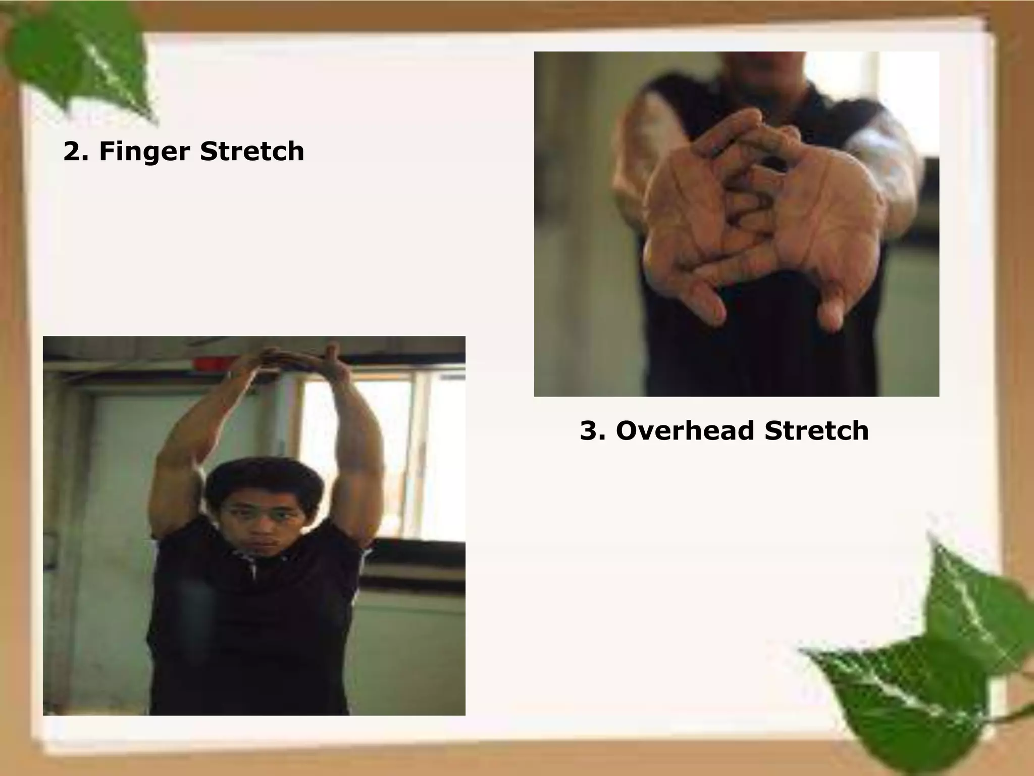 Phases of Physical Fitness | PPTX