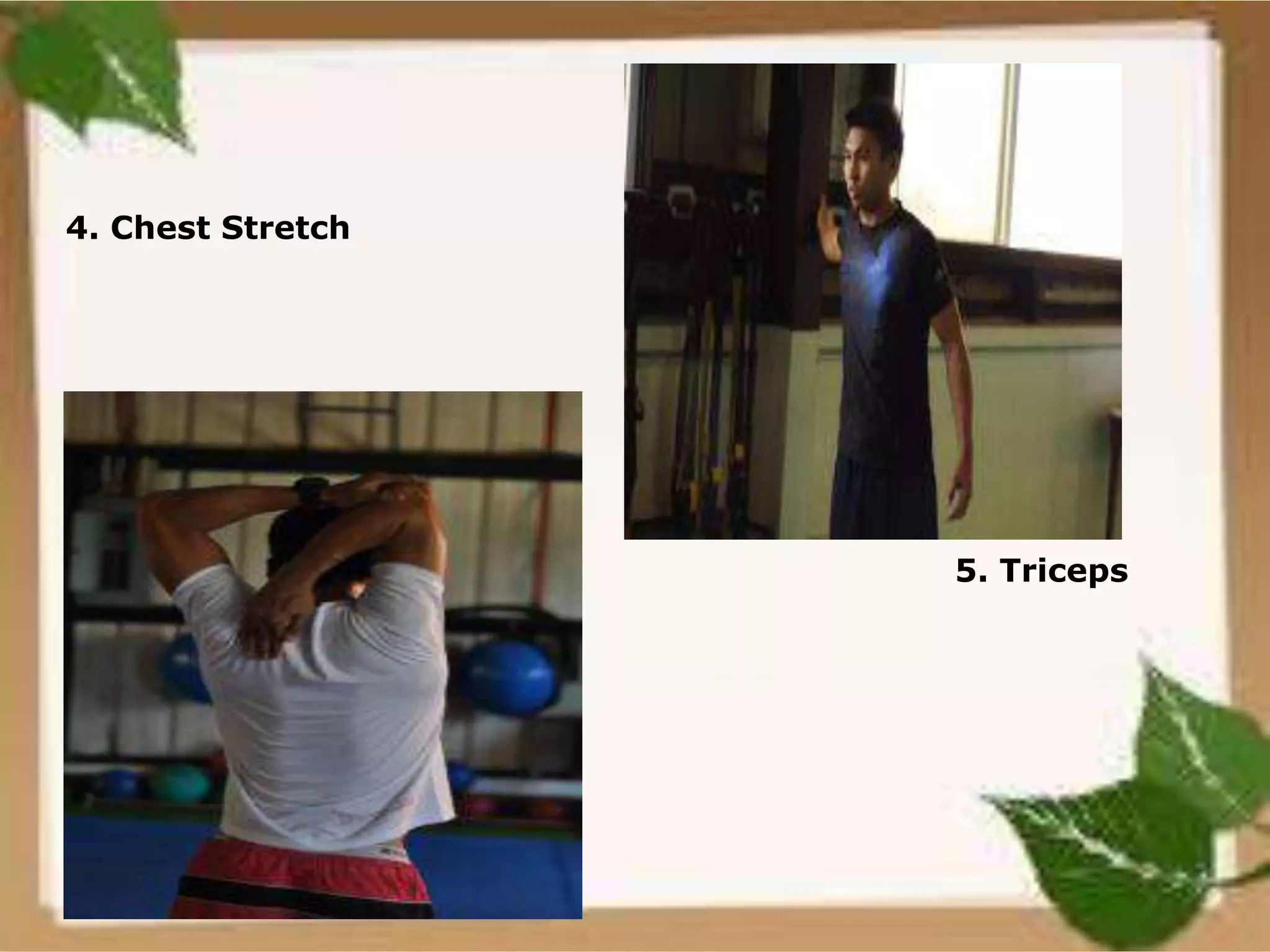 Phases of Physical Fitness | PPTX