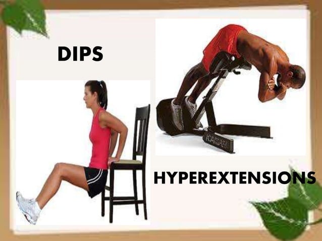 Phases of Physical Fitness | PPTX