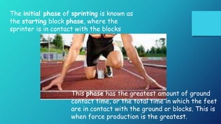 Phases of sprinting | PPTX