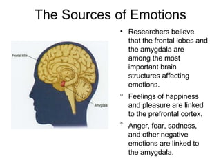 Phases of the Acting Out Cycle MO SW-PBS SI 2008 | PPT